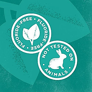 Tom's of Maine Fluoride-Free Propolis & Myrrh Natural Toothpaste, Fennel, 5.5 oz (Pack of 2) (Packaging May Vary)