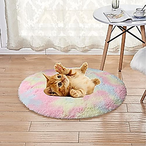 Ultra Soft Bedroom Rug, Round Fluffy Rainbow Area Rugs, Cute Circle Carpet Plush Rug for Bedroom Living Room Home Decor, Thick Shag Carpet 2 Feet for Girls (Rainbow)