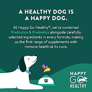 Happy Go Healthy Gut Health + Skin & Coat Bundle Supplements for Dogs - Probiotic & Prebiotic Benefits with Omega-3s | 2 x 21 Count Bags