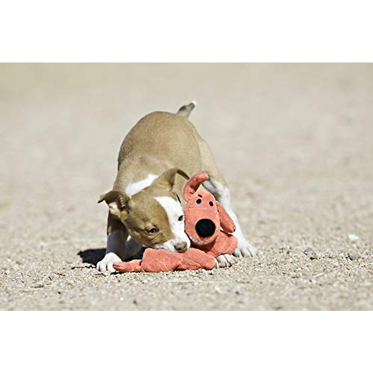 Multipet 12-Inch Squeaker Mat Soft Plush Dog Toy with 13 Squeakers, Colors may vary