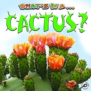 Cactus (What's In A…)