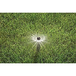 Rain Bird 1804 Spray Head with 15van Nozzle; 0° to 360° Adjustable; 15' Radius (Pack of 5)