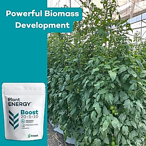 Fitleaf Plant Energy Boost 20-5-10 – The Best Water-Soluble Plant Food for Powerful Vegetative Growth, Promotes Healthy and Abundant Green Leaves – Complete Plant Nutrition Formula (3.53 oz)