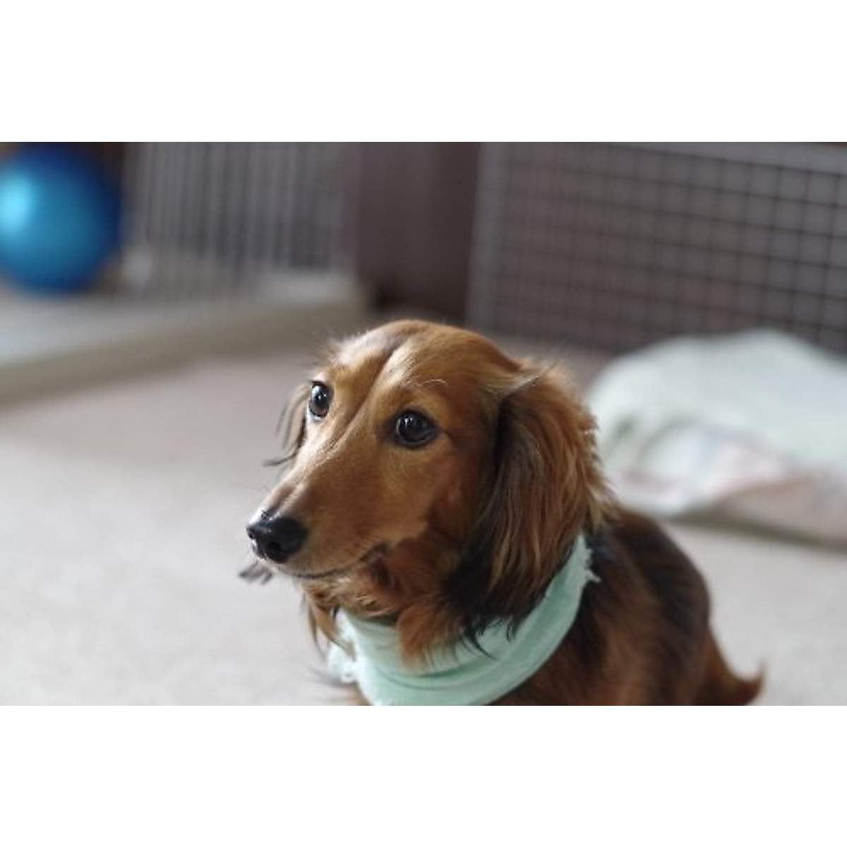 Pentax K-30 16 MP CMOS Digital SLR Crystal White