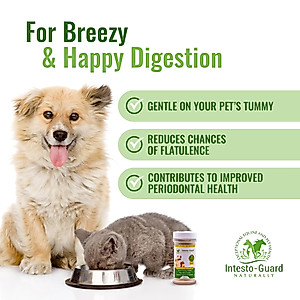 INTESTO-GUARD Probiotic Pet Supplement Prebiotic & Probiotics for Dogs & Cats Bowel, Digestive & Immune Support Supports Gut Flora, Nutrition - 180G Powder, 90 Day Supply (6 Pack) - All-Natural
