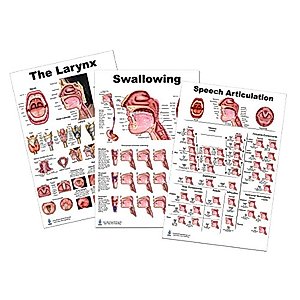 Anatomy Posters for SLP (Larynx, Swallowing, Speech Articulation 24x36)