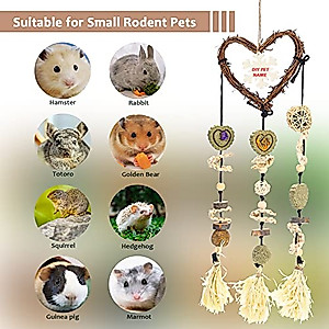 DAMPET Bunny Chew Toys， Bunny Teeth Grinding Chew Toys, Rabbit Cage Hanging Chew Toys, All Natural Materials for Guinea Pigs, Hamsters, Rabbits and Rats