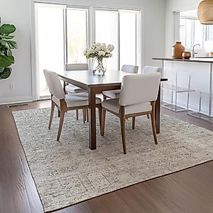 Addison Rugs Chantille ACN611 Taupe 9' x 12' Indoor Outdoor Area Rug, Easy Clean, Machine Washable, Non Shedding, Bedroom, Living Room, Dining Room, Kitchen, Patio Rug