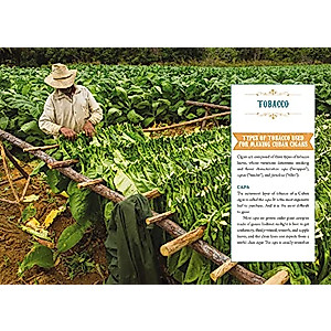 The Cuban Cigar Handbook: The Discerning Aficionado's Guide to the Best Cuban Cigars in the World