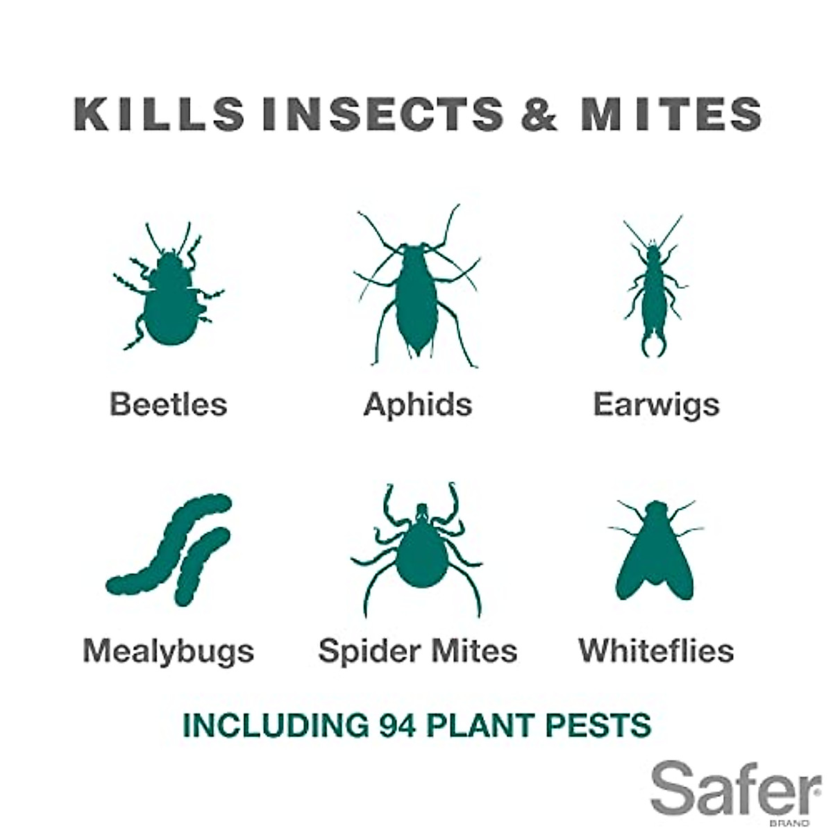 Safer Brand 5192-6, 16 oz Horticultural & Dormant Spray Oil Concentrate, 1 Pack, Green