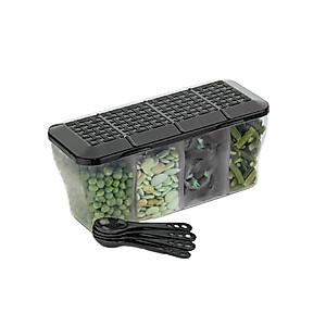 OMORTEX 4 Section Spice Box, Pickle Container, Dry Fruit Box, Vegetable Container Pack Of 1