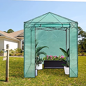 PexFix 6'x 5' Portable Walk-in Greenhouse Easy Setup,Indoor Outdoor Greenhouse Garden Green Houses Instant Pop-up Greenhouse,2 Roll-Up Mesh Windows and Roll-up Zipper Door,Green