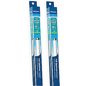 Aqueon 2 Pack of Daylight T8 Fluorescent Aquarium Lamps, 48 Inch, Enhance Tropical Fish and Live Plants