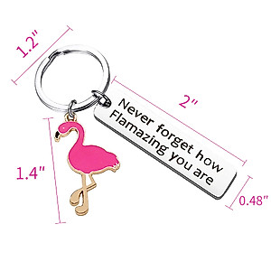 NAKUMICHA Flamingo Gifts for Women，Motivational Flamingo Keychain Never Forget How Flamazing You are, Bff Gifts for Women, Key Organizer Flamingo Lover BFF Animal Lovers Gift for Women Girls,Red