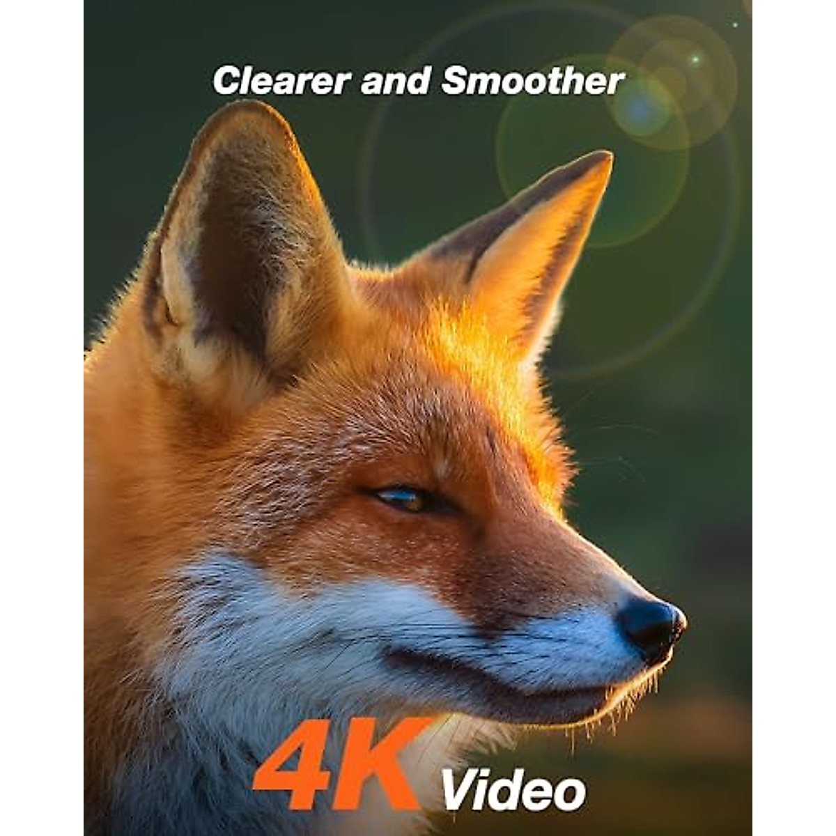 iZEEKER Trail Camera Solar, 4K 48MP Game Cameras with Night Vision Motion Activated IP66 Waterproof, 0.1s Trigger Time, High Capacity Built-in Lithium Battery for Wildlife Watching with 32GB SD Card