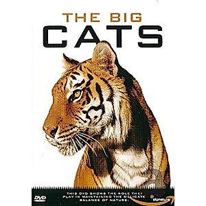 Duke Our World, Their World: The Big Cats - Myth And Magic