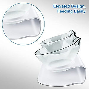 Double Cat Bowl with Raised Stand Pet Food Bowl Perfect for Cats and Small Dogs