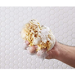 BULLDOG Mens Skincare and Grooming Body Wash Vetiver & Black Pepper, 16.9 Fluid Ounce