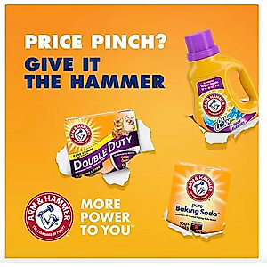 Arm and Hammer Pure Baking Soda 13.5 lbs