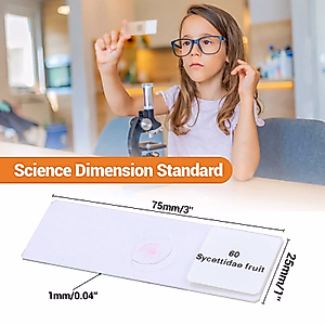 120 Prepared Microscope Slides for Kids & Students, Microscope Glass Slides Set Including Animal & Plant Specimens, Suitable for School and Home Education