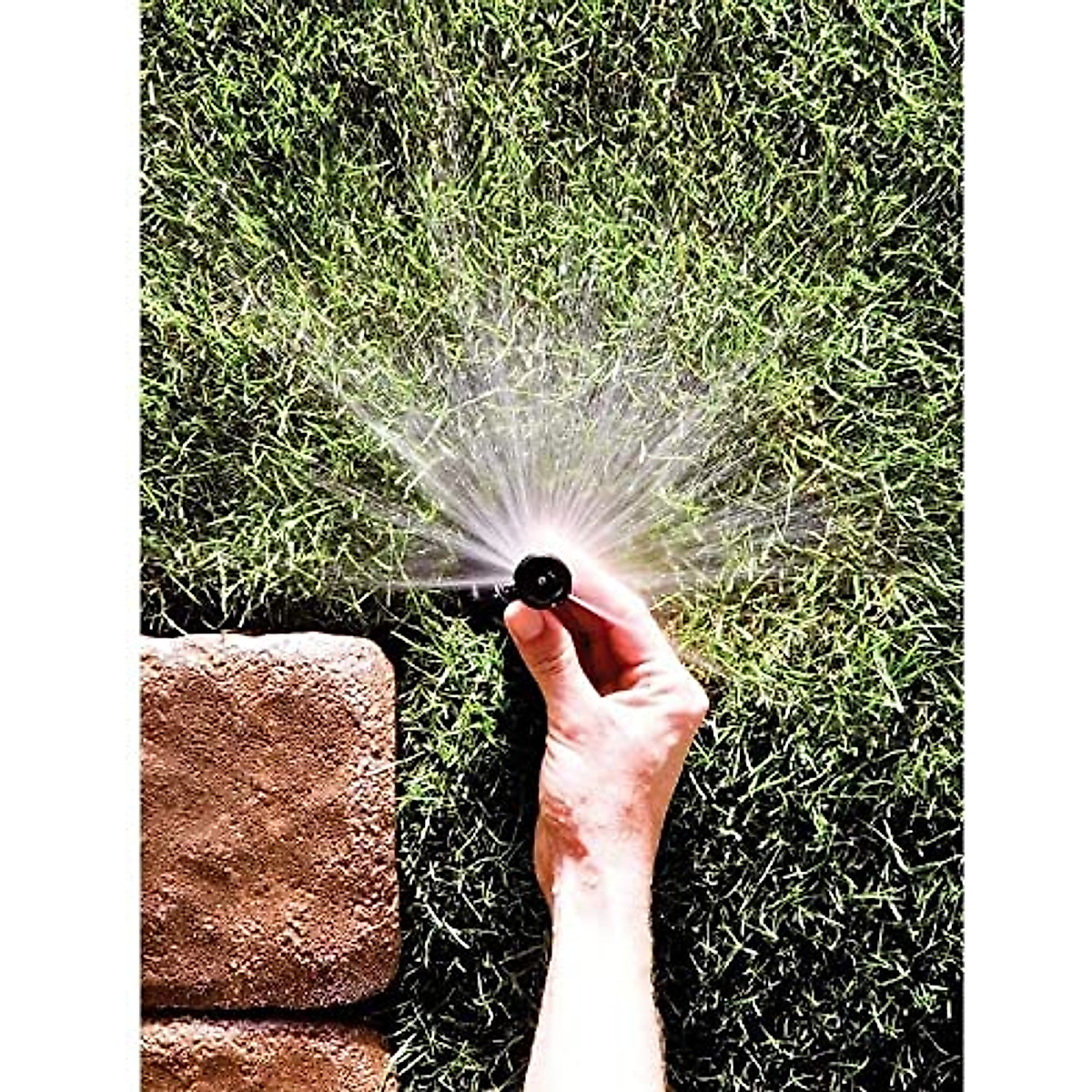 Rain Bird 1804NPPRS Pressure Regulating (PRS) Professional Non-Potable Water Pop-Up Sprinkler, Adjustable 0° to 360° Pattern, 8' - 15' Spray Distance, 4" Pop-up Height, Purple Cap