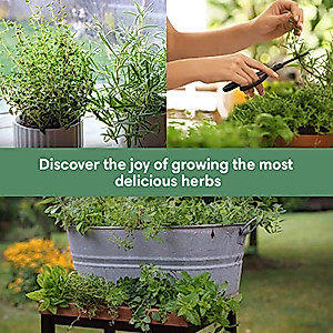 Herb Garden Indoor Herb Garden Starter Kit Easily Grow 10 Herbs Seeds - Indoor Herb Planters - Herb Garden Growing Kit - Grow Basil, Cilantro, Chives, Arugula and More - Gardening Gifts