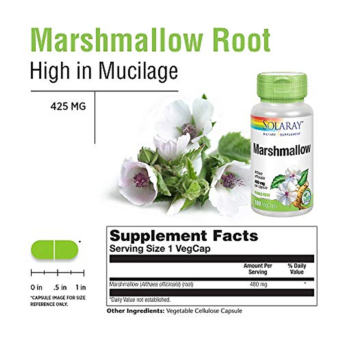 SOLARAY Marshmallow Root, Healthy Respiratory Function & Digestion Support, Non-GMO & Vegan | 100 VegCaps