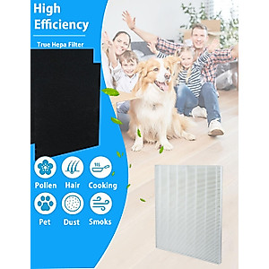 BBT BAMBOOST D480 True HEPA Replacement Filter D4 Compatible with Winix D480 Air Purifier, 1 True HEPA and 2 Activated Carbon Filters, Item Number 1712-0100-00