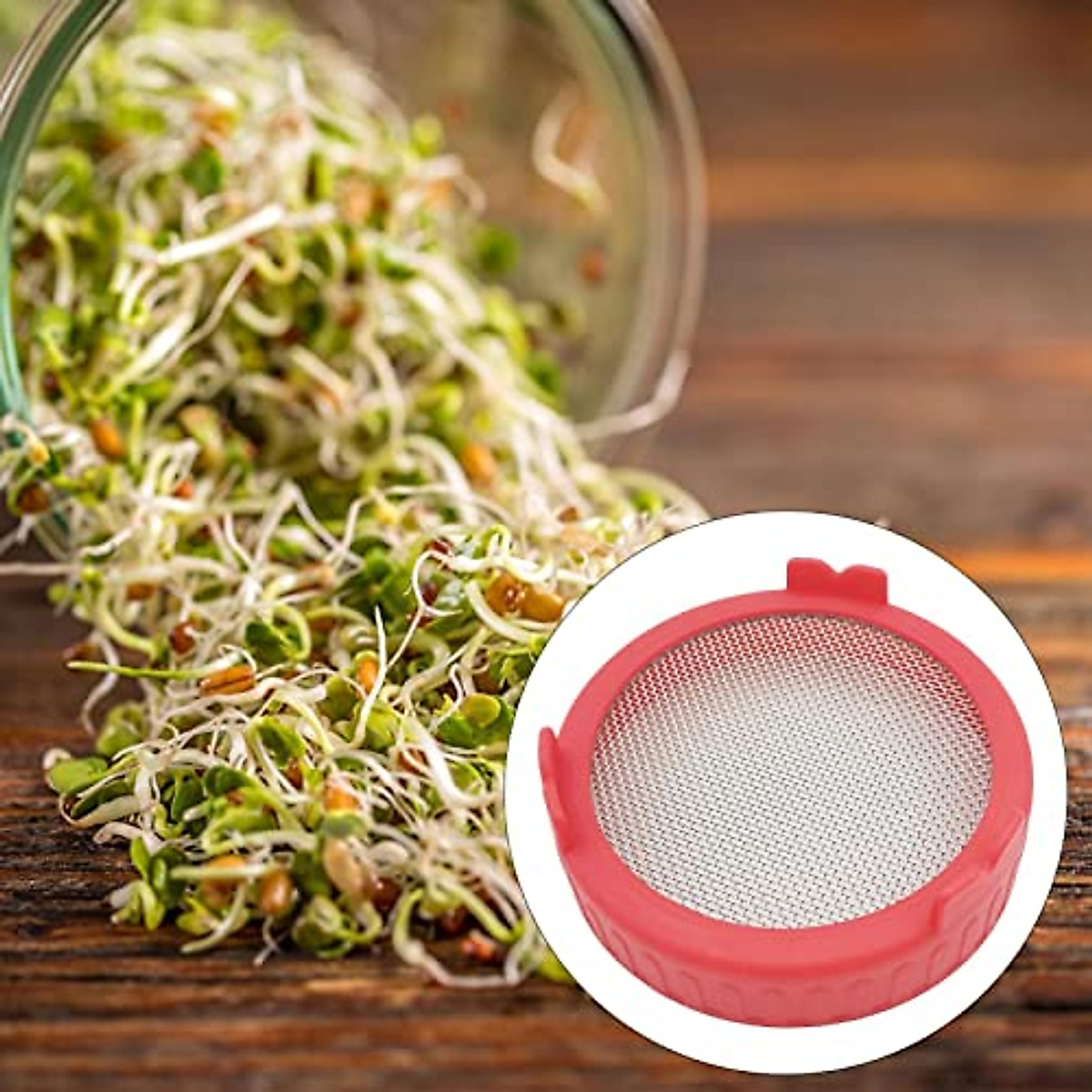 BAIRONG Mason Jar Screen Lids for Sprouting | Wide Mouth Mason Jars Lids | Alfalfa and Mung Bean Sprouts, Stainless Steel Mesh Screen Jar Strainer Sprout Lid for Broccoli Seeds, Alfalfa Adj