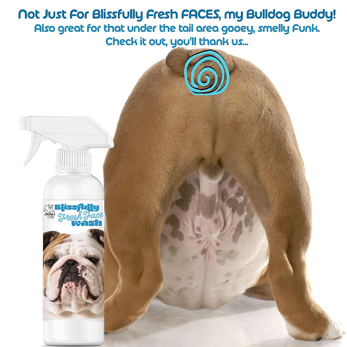The Blissful Dog Blissfully Fresh Face Wash - Cleans Facial Folds and Wrinkles, 4-Ounce, Bulldog