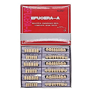 RZJZGZ 168 Pcs Dental Synthetic Resin Tooth Halloween Horror Teeth 6 Sets 23 A3