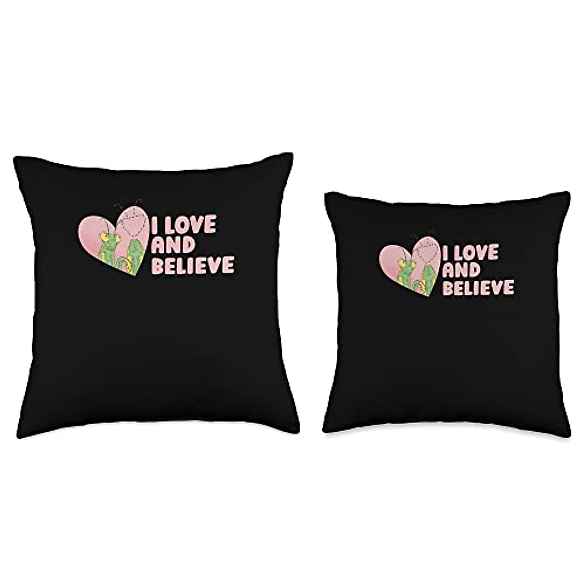 Praying Mantis Gifts & Accessories I Love and Believe-Insect Entomology Predator Pray Mantis Throw Pillow, 16x16, Multicolor