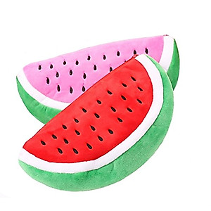 2Pcs Cute Big Volume Watermelon Pencil Case Pen Bags Stationery Pouch Cosmetic Makeup Box Coins Holder for Students Girl (Pink and Red)