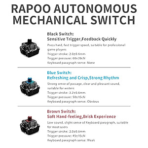 Mechanical Gaming Keyboard, RAPOO V500 Alloy Wired Keyboard with Black Switches for Game Players, Quick Response Gaming Keyboard, Anti-Ghosting Keyboard for Windows Gaming PC/Game Laptop, 87 Keys