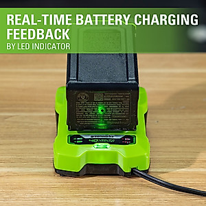 Greenworks 40V Battery Charger (Genuine Greenworks Charger)
