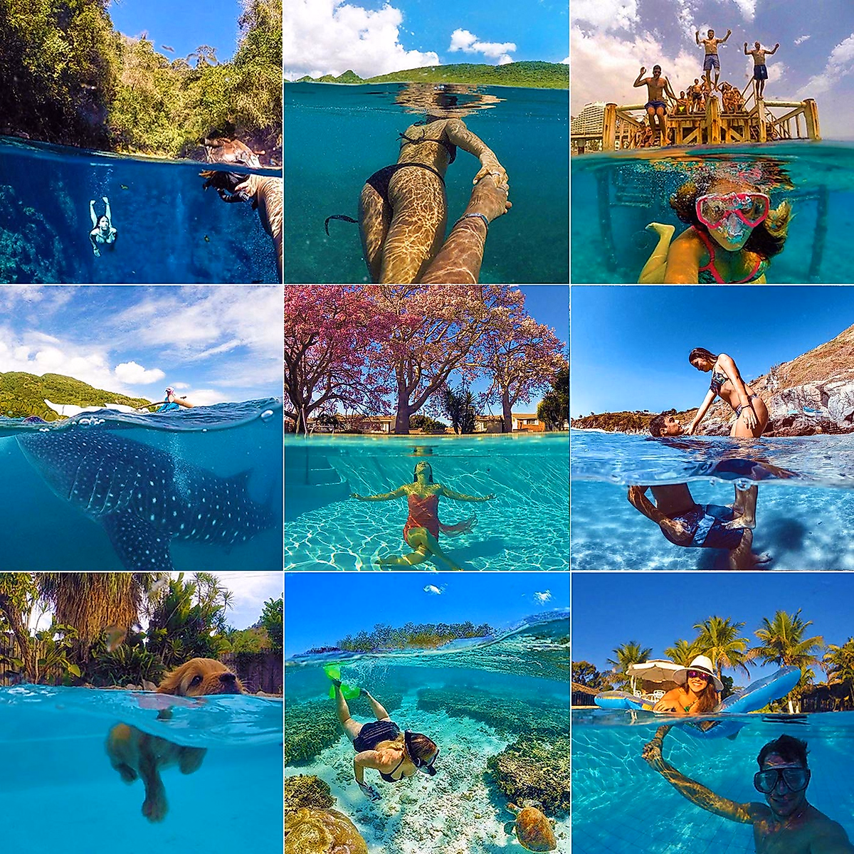 GEPULY Dome Port for GoPro Hero 9 10 11 12 Black, Underwater Waterproof Dome Port Housing Case + Floating Hand Grip + Trigger Accessories for GoPro Hero 12/Hero 11 /Hero 10 / Hero 9 Black Camera