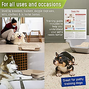 PuppyGoHere Dog Litter Box, Large Size, Misty Gray, Durable & Pet Safe Puppy Litter Box, Indoor Open Top Entry Dog Litter Pan, Comfortable for Dogs, Great for Dogs up to 20 lbs