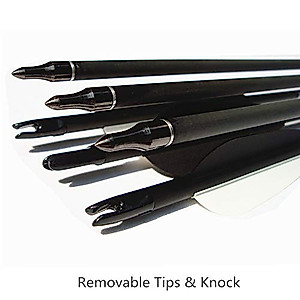 12 Pack Archery Carbon Arrows 350 Spine Shafts with Field Points for Compound and Recurve Bows Target Shooting Hunting(31 Inch)