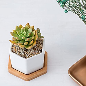 Yardwe 4 Sets Succulents Table Hexagon Plant Containers with Arrangement Balcony Ceramic Center Planter Saucer Pot Desktop Gardening Bonsai Bamboo Pots Decorative Decoration Hole Tray