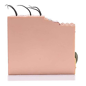 Anatomy Model Assembly Model Human Skin Layers and Head Nerves Set Teaching Supplies