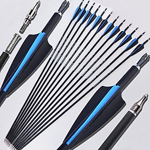 AMEYXGS 31 Inch Carbon Arrow Practice Hunting Arrow for Compound & Recurve Bow Hunting Shooting (Blue)