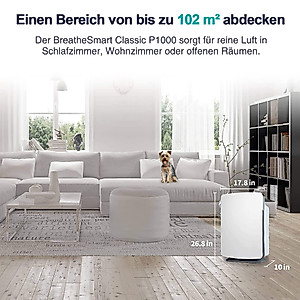 Alen BreatheSmart Classic H13 HEPA Air Purifier, Air Purifiers For Home Large Room w/ 1100 SqFt Coverage, Medical-Grade Air Cleaner for Smoke & Chemical, up to 12 Mos. Filter Life, Brushed Stainless