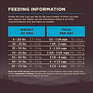 Wellness CORE Wholesome Grains Ocean Recipe, 22 Pound Bag