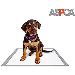 ASPCA AS 62931 Citrus Scented Training Pads, 100 Pack, Gray, 22" x 22" - Pack of 100