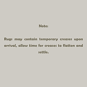 ZDABAOEC Bird Rug 4x4, Cute Area Rugs for Bedroom Living Room Entryway, Birds on a Branch Patterned Home Decor Carpet, Machine Washable Non Slip Indoor Floor Square Rug