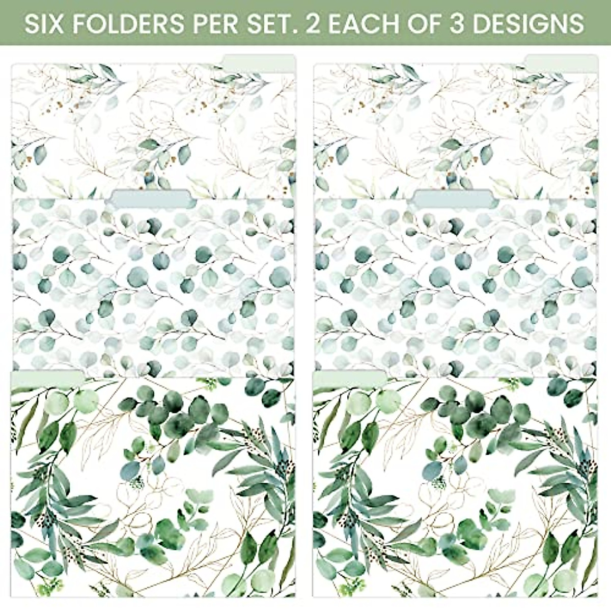 bloom daily planners Decorative File Folders - Set of Six Letter Size (8.5” x 11”) Organizers, 1/3 Cut Tabs - Assorted Designs - Eucalyptus