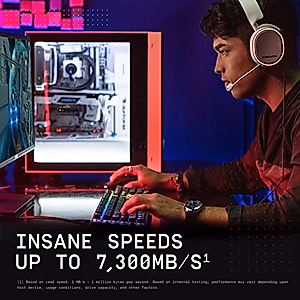 WD_BLACK 1TB SN850X NVMe Internal Gaming SSD Solid State Drive with Heatsink - Works with Playstation 5, Gen4 PCIe, M.2 2280, Up to 7,300 MB/s - WDS100T2XHE