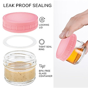 Z-synka 10-Pack Salad Dressing Containers To Go, 2.7oz Glass Small Condiment with Lids, Dipping Sauce Cups Set,Leakproof Reusable for Lunch Box Work Trip