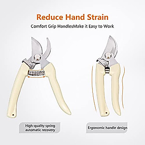 Garden Scissors for Plant, Tip Pruning Shears for Cutting Flowers, Trimming Plants, Bonsai and Fruits Picking (Bypass Blade Pruner)