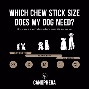 Canophera Premium Xtra Small Dog Chew: 100% Natural Sheep Horn for Dental Health & Durability. Odor-Free (Large)